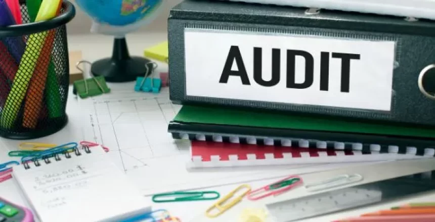 The Indispensable Role of Auditing in India: A Comprehensive ...